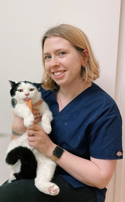 Meet the Team | Castle Vets