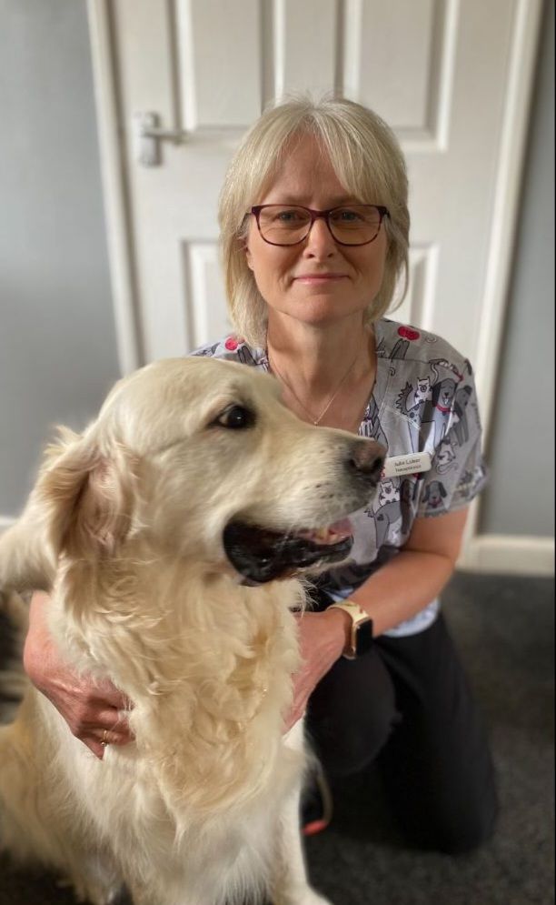 Meet the Team | Castle Vets